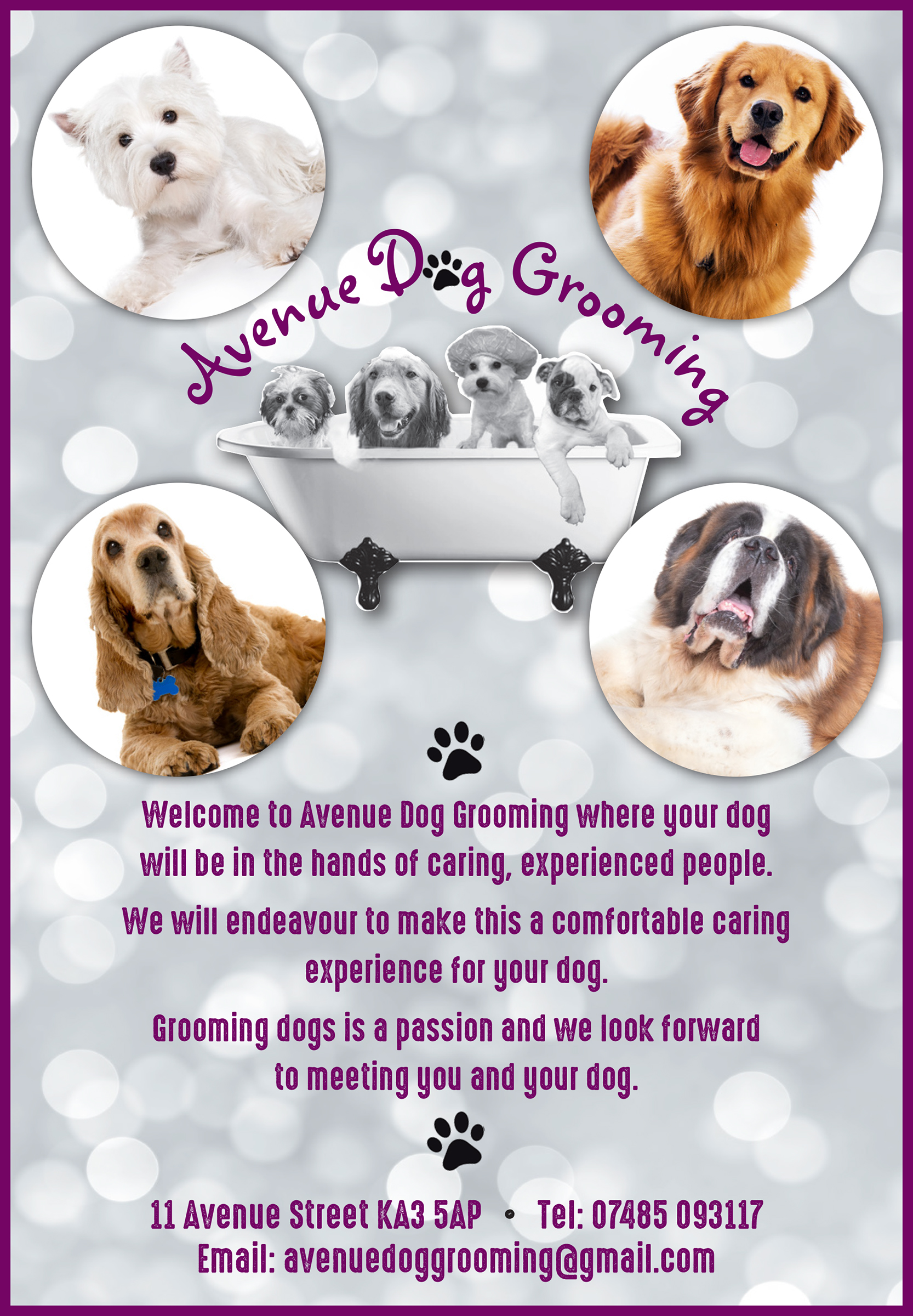 Business Directory - The Review