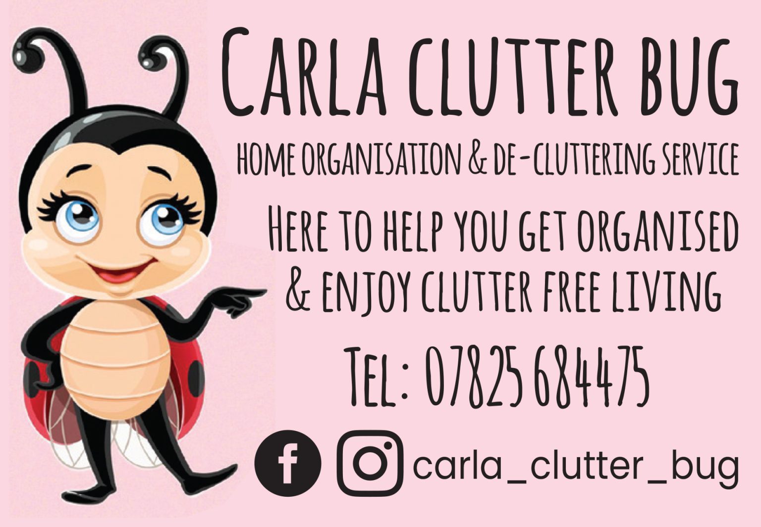 Carla Clutter Bug - The Review